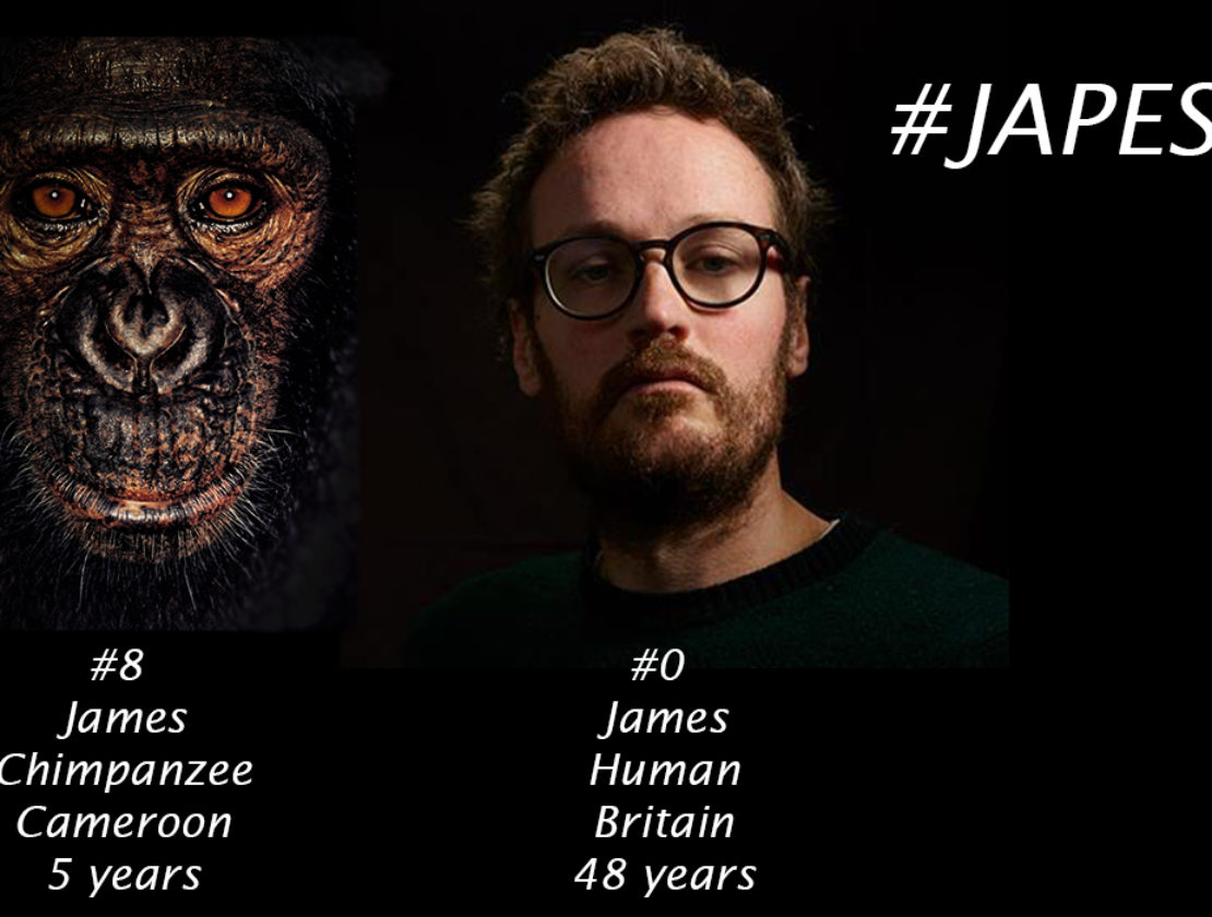 ART3.io | The home of Photographic Art NFTs